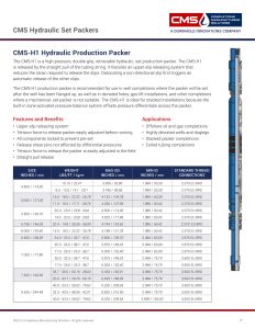 CMS-H1 Hydraulic Production Packer – CMS