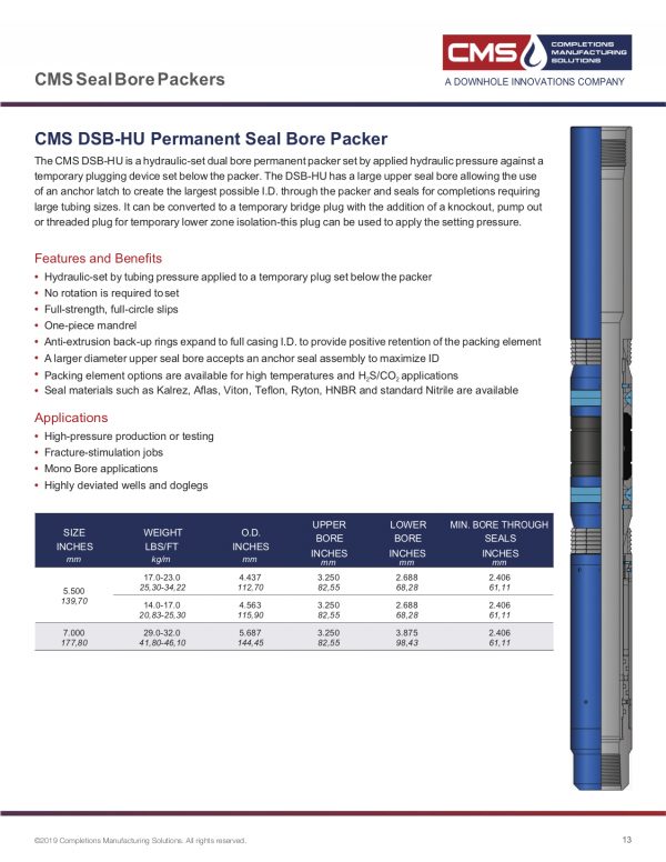 CMS DSB-HU Permanent Seal Bore Packer – CMS